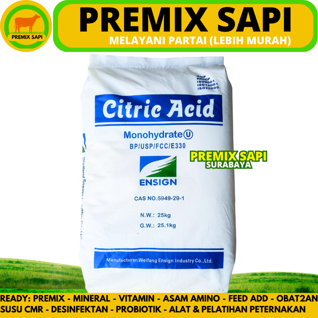 Jual CITRIC ACID 25 KG (1 SAK) MONOHYDRATE - FOOD GRADE - Sitrun Citrun ...