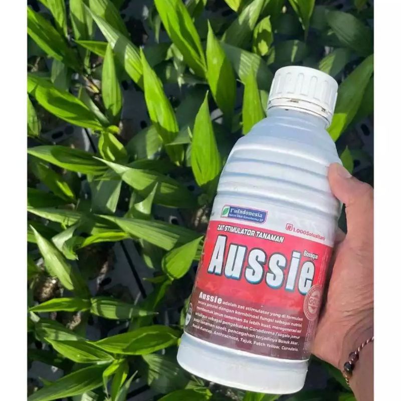 Jual AUSSIE 1L READY - Obat Jamur Ganoderma 3x Lebih Cepat | Perbesar ...