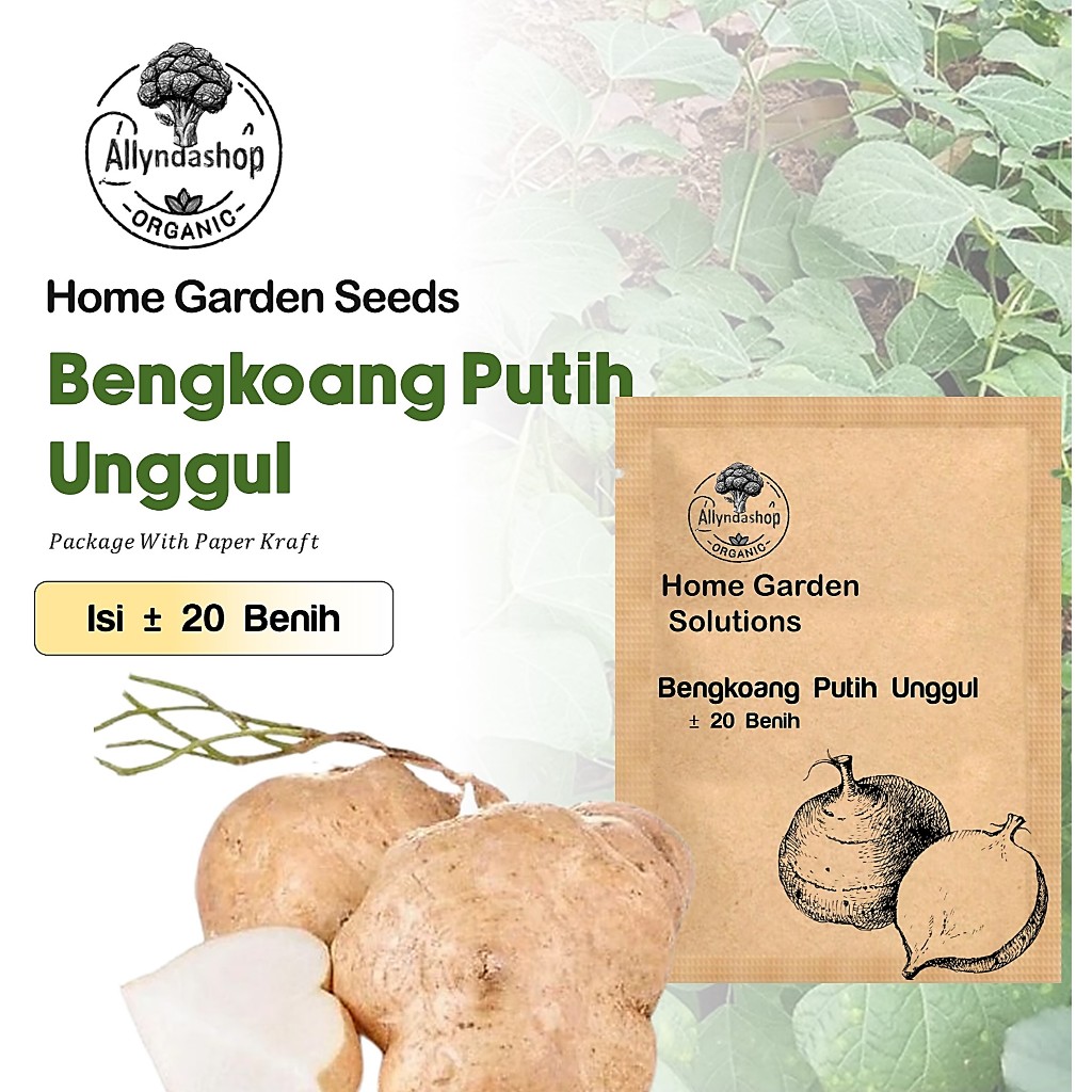 Jual 40 Biji - Bibit Benih Buah Bengkoang Putih Unggul | Shopee Indonesia