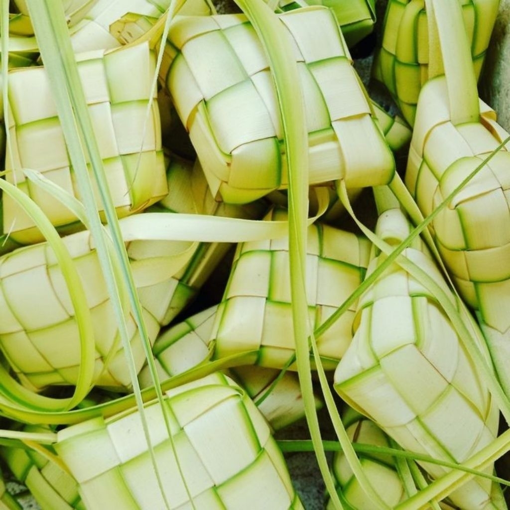 Jual Daun Janur Kelapa,,buat bikin ketupat Paket isi 20 batang (40 ...