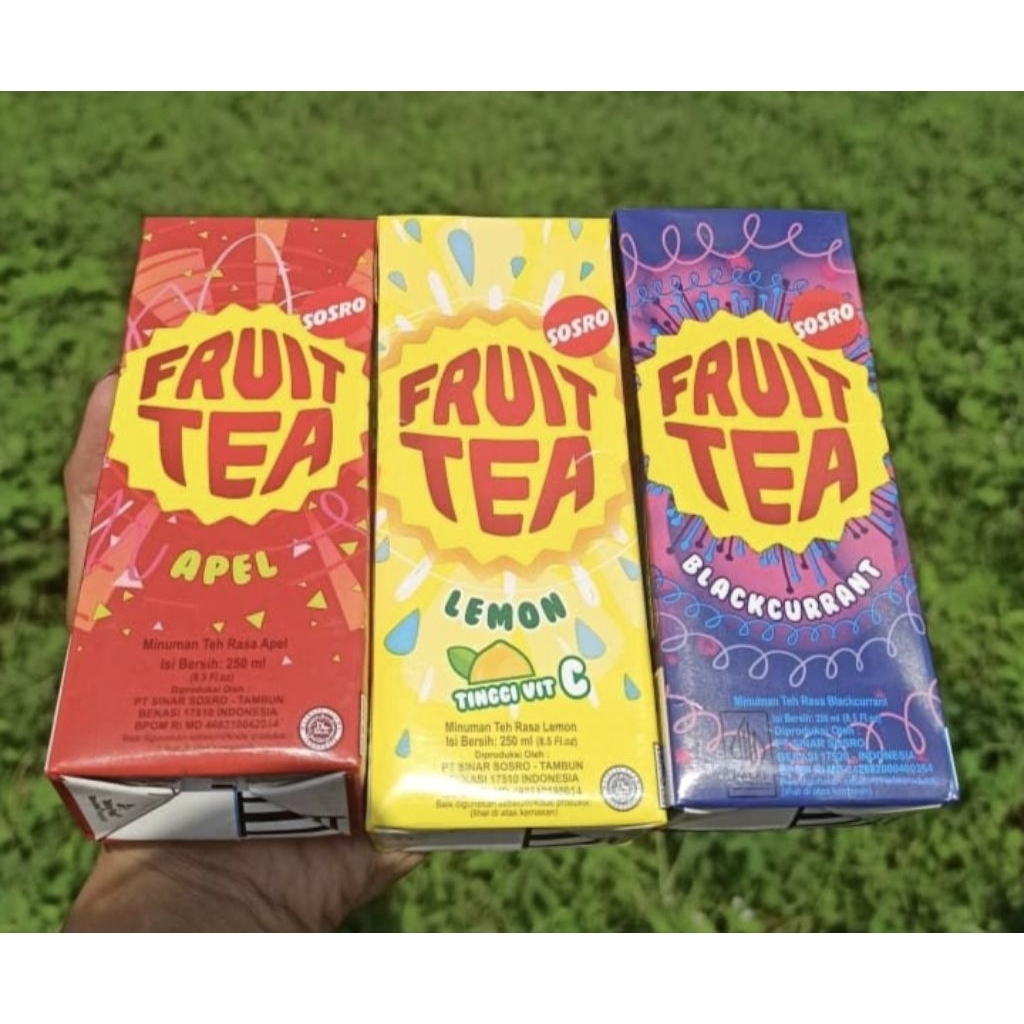 Jual 1 Dus 24 Pcs Fruit Tea Sosro Teh Kotak 200 Ml Varian Rasa | Shopee ...