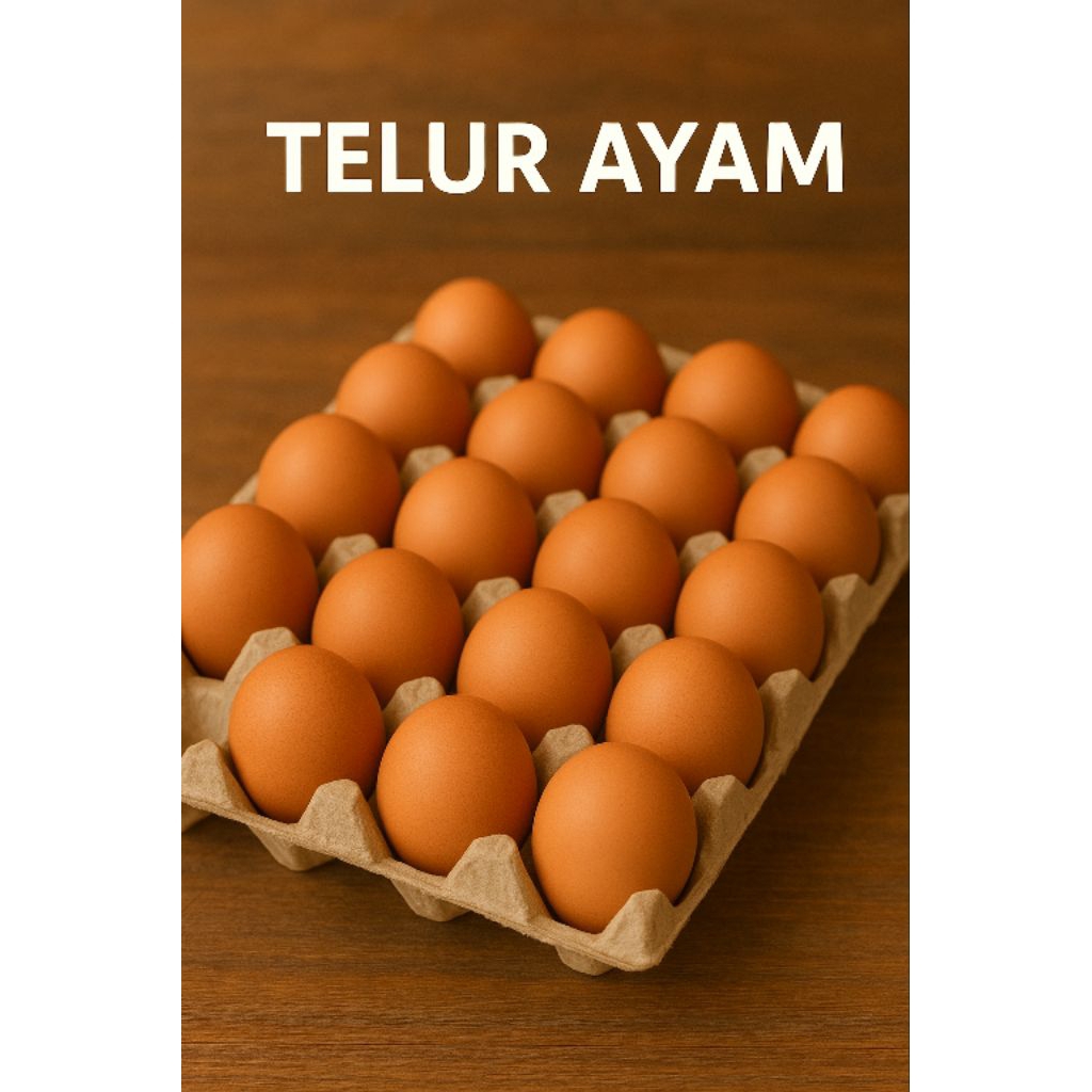 Jual Telur Ayam Segar 1 Kg – Kualitas Terjamin, Siap Masak (Khusus ...
