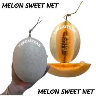 Jual Melon 1 Kg Terlengkap & Harga Terbaru Oktober 2025 | Shopee Indonesia