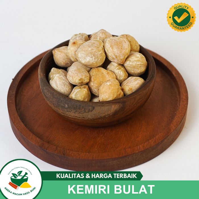 Jual Biji Kemiri Bulat 1 Kg Muncang Bulat Super Kualitas Super Butir ...