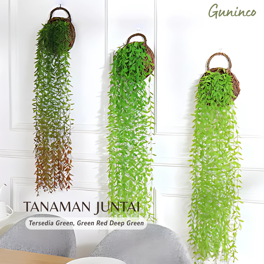 Jual LCI Daun Juntai Green Daun Tirai Rambat Artificial Janda Merana ...