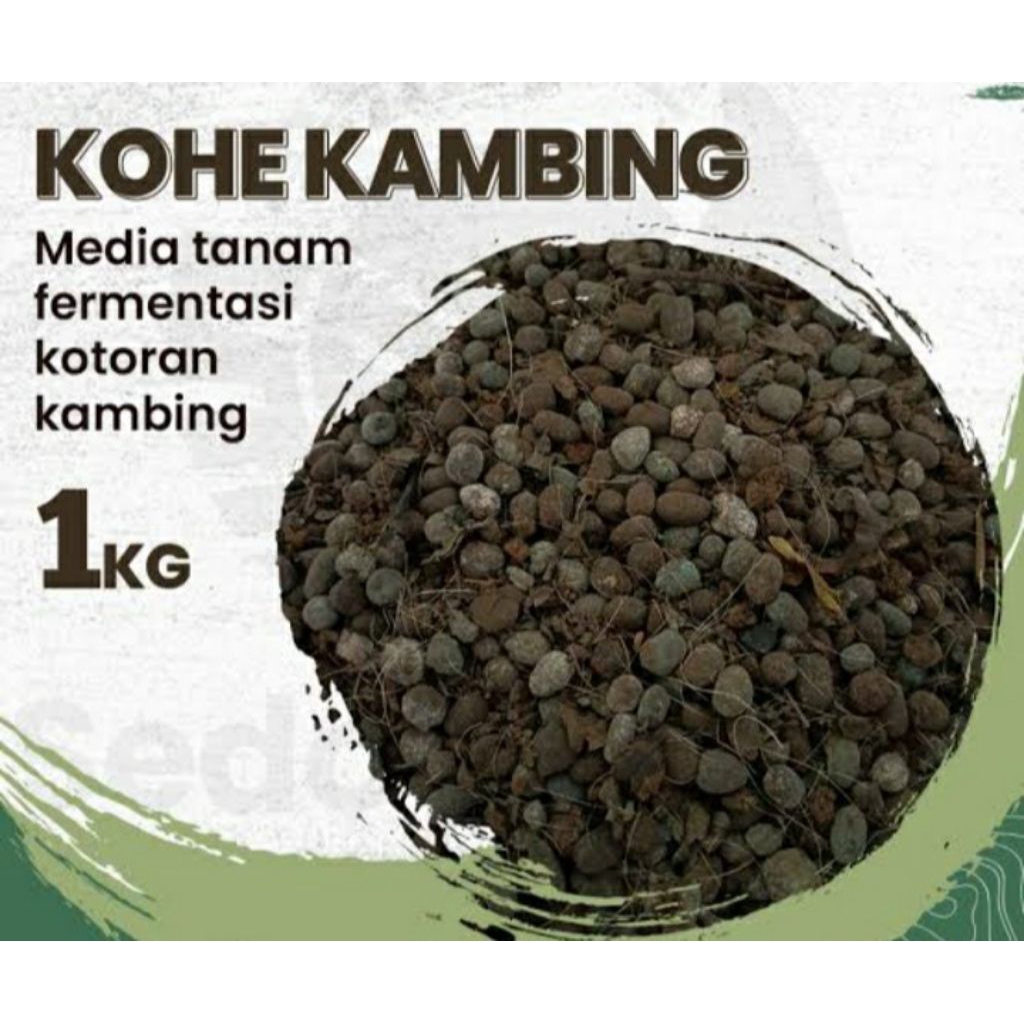 Jual Kohe kambing original 1 kg | Shopee Indonesia
