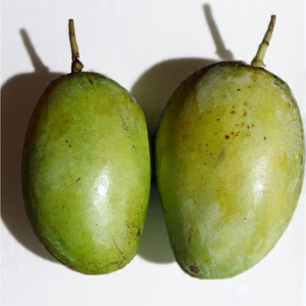 Jual BUAH MANGGA BUDI RAJA 1KG (JABODETABEK) | Shopee Indonesia