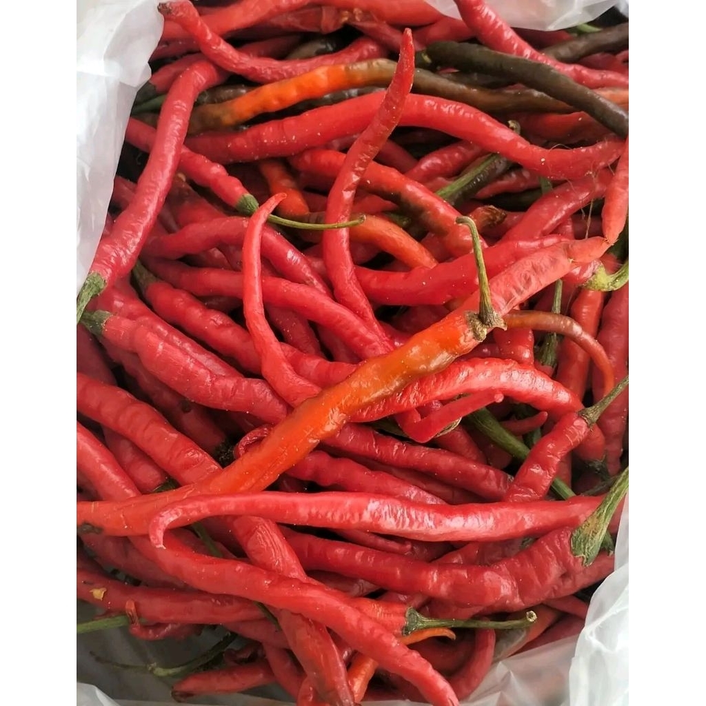 Jual cmk cabe merah keriting dijamin segar | Shopee Indonesia