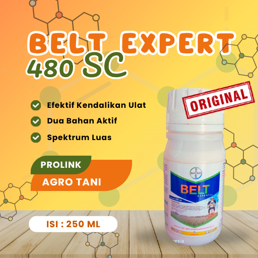 Jual BELT EXPERT 480 SC 250ML - OBAT INSEKTISIDA AMPUH DAN EFEKTIF ...