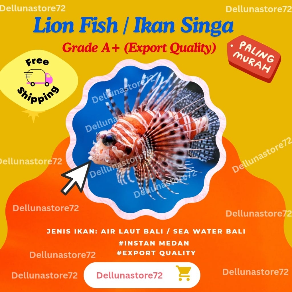 Jual LION FISH AIR LAUT I IKAN HIAS AIR LAUT I INSTAN KOTA MEDAN ...