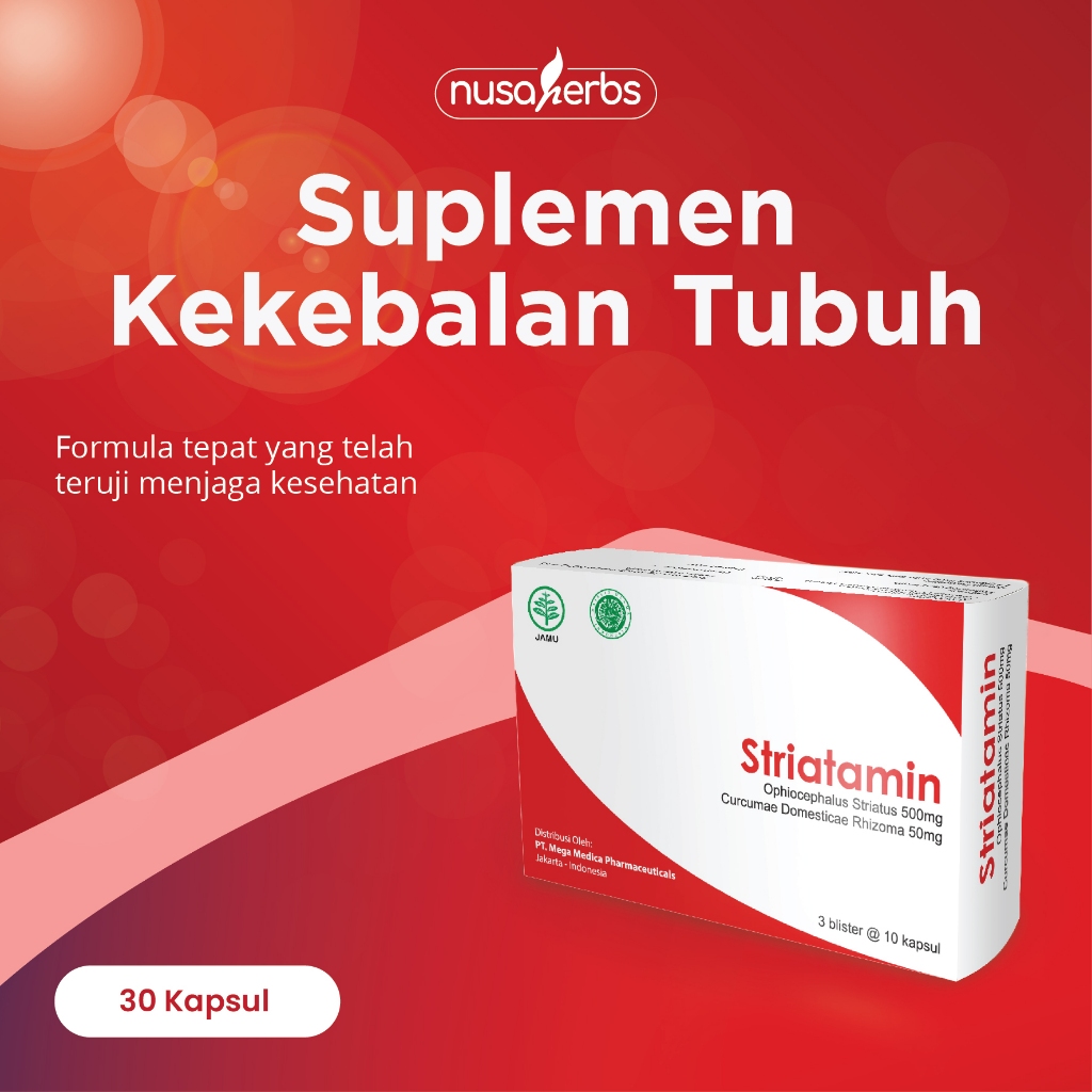 Jual Striatamin - Suplemen Imun 30 Kapsul (Tinggi Protein & Albumin ...