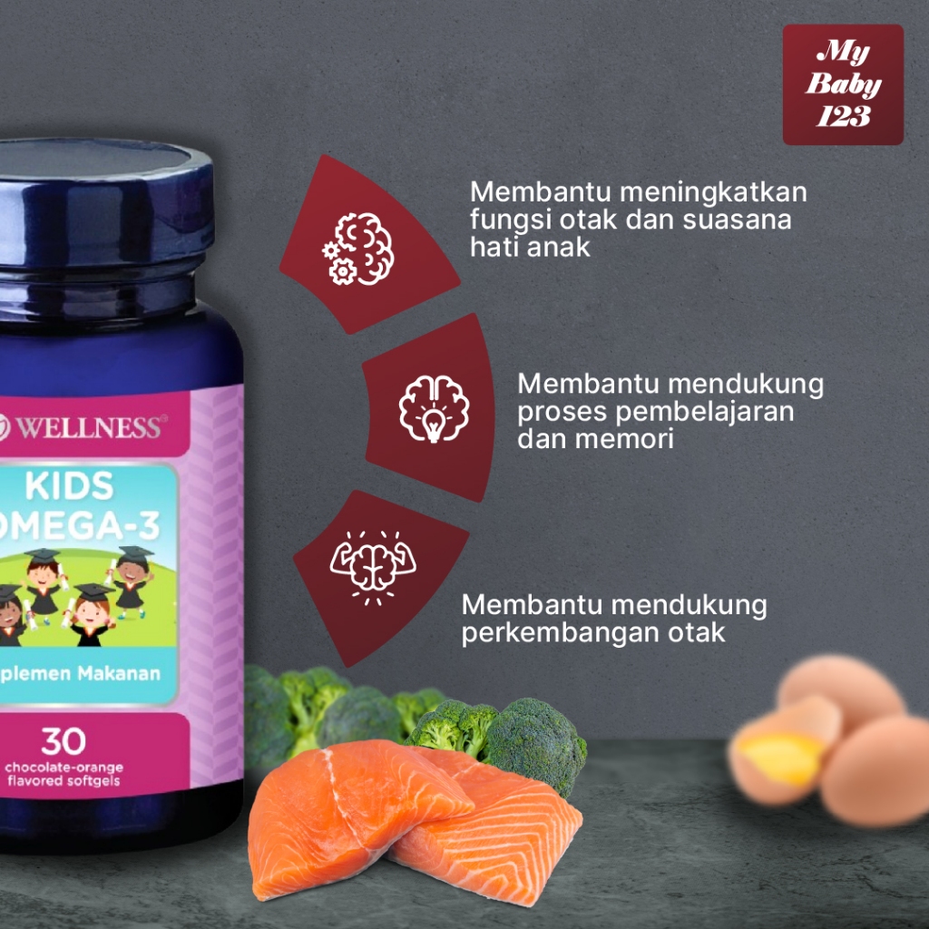 Jual Vitamin Otak Anak Omega 3 Wellness Kids DHA EPA 30 Softgel Rasa Coklat Jeruk | Shopee Indonesia