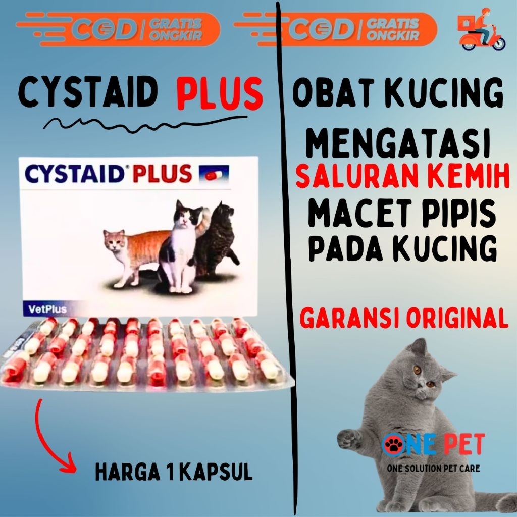 Jual CYSTAID PLUS ECER 1 KAPSUL - Obat Untuk Gangguan Kencing dan ...