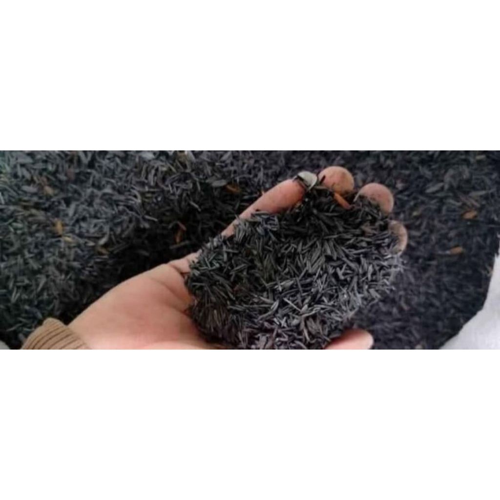 Jual Sekam Bakar Murni UKURAN 1 Kg – Media Tanam Organik, Penyubur ...