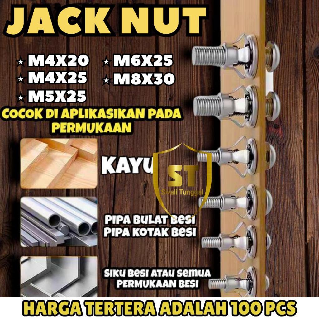 Jual (100 PCS) JACK NUT METAL - RIVET NUT M4 M5 M6 M8 PLAT METAL MUR ...
