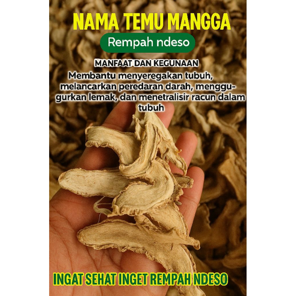 Jual Temu Mangga Kering 1Kg Asli 100%– Rempah Haerbal Tradisional untuk ...