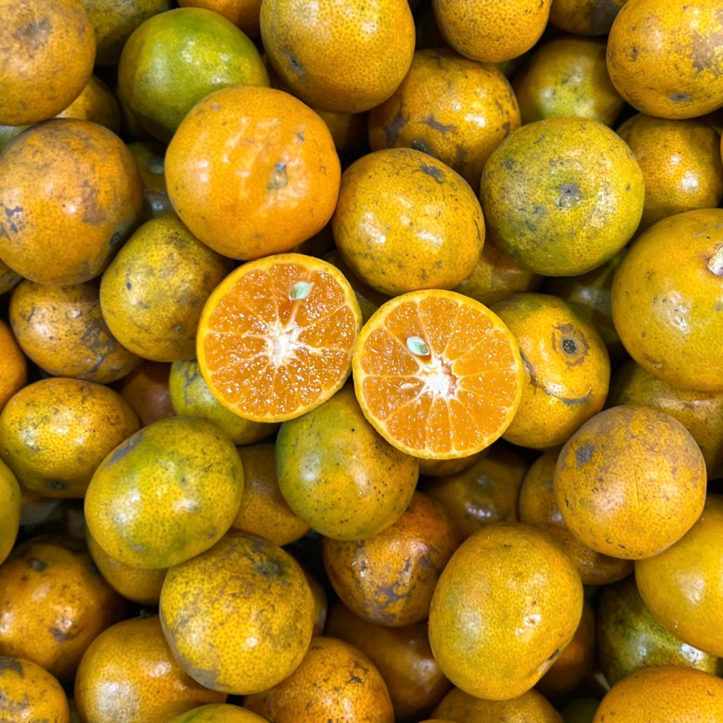 Jual JERUK MADU MINI | BUAH JERUK KECIL ORANGE MANIS FRESH | Shopee ...