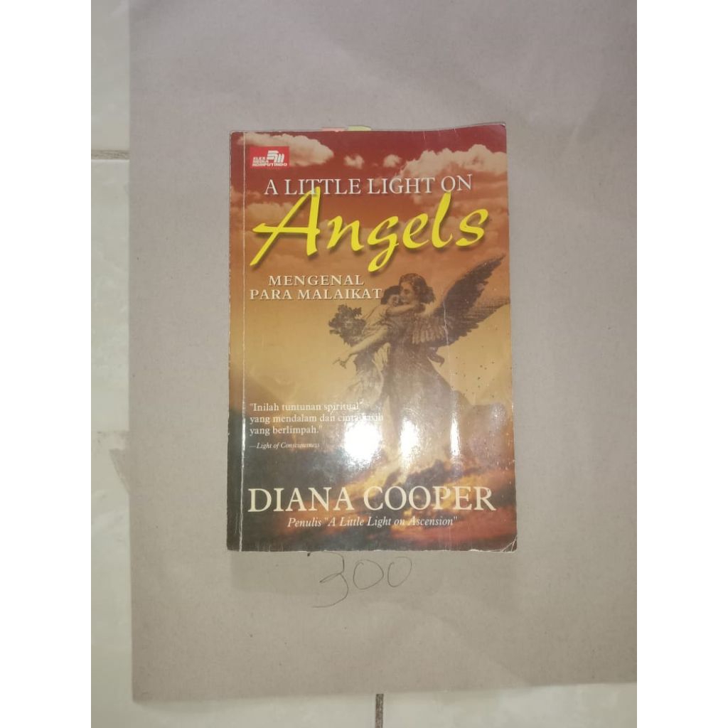 Jual BUKU A LITTLE LIGHT ON ANGELS MENGENAL PARA MALAIKAT | Shopee Indonesia