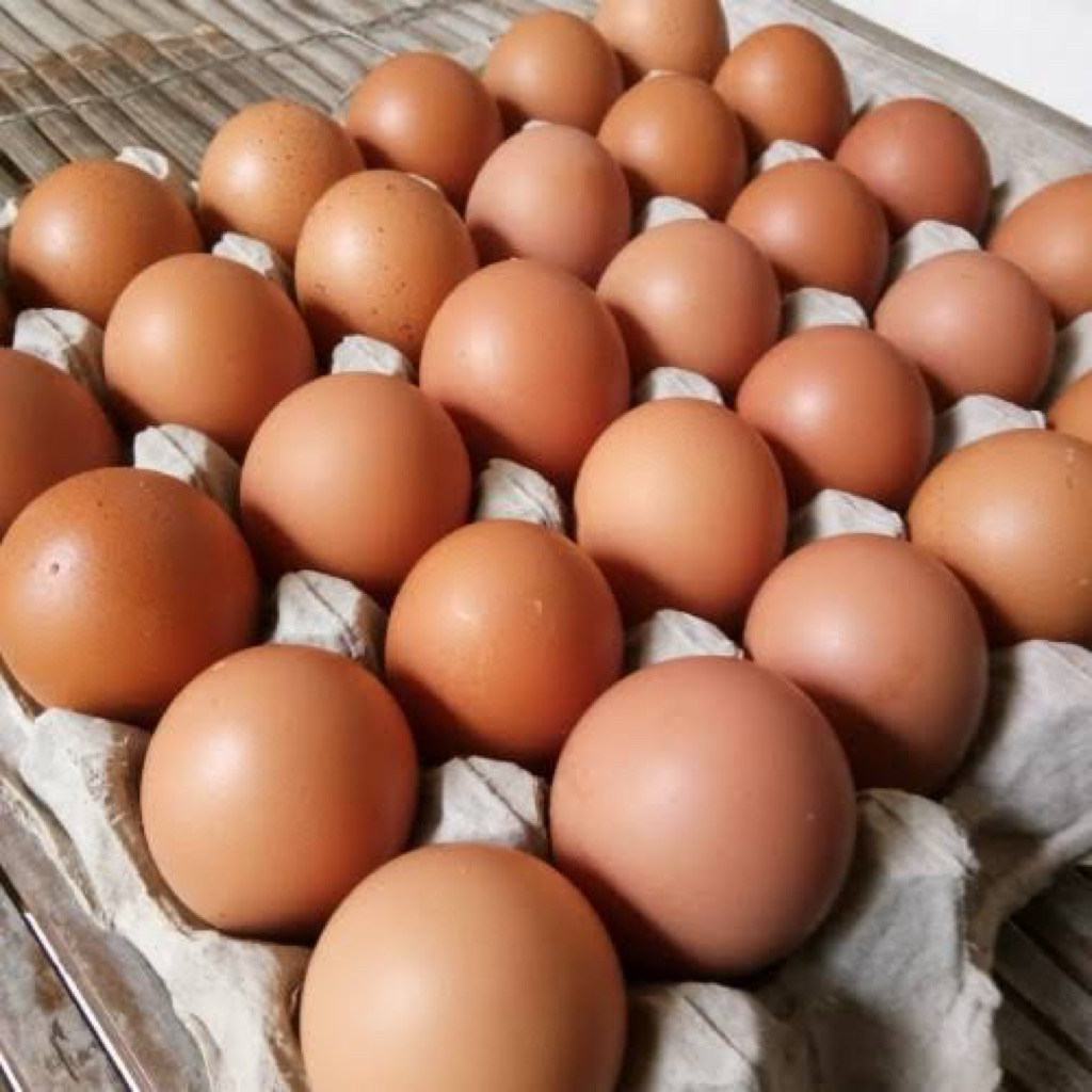 Jual Telur ayam negeri 500gram isi 8-9 butir | Shopee Indonesia