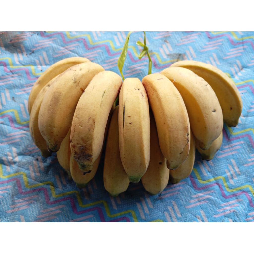 Jual Pisang Raja Bulu 1 Kg | Shopee Indonesia