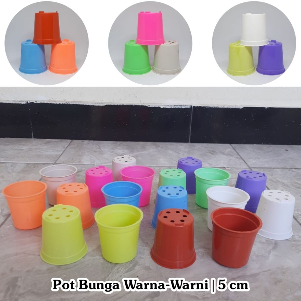 Jual Pot Kecil Warna-Warni | 5 cm | Shopee Indonesia