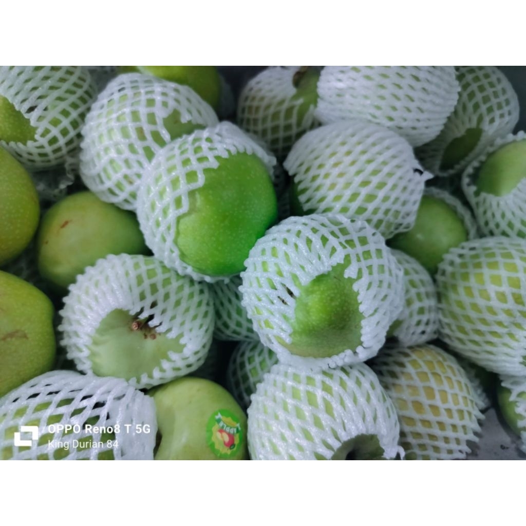 Jual Apel Hijau 1kg | Shopee Indonesia