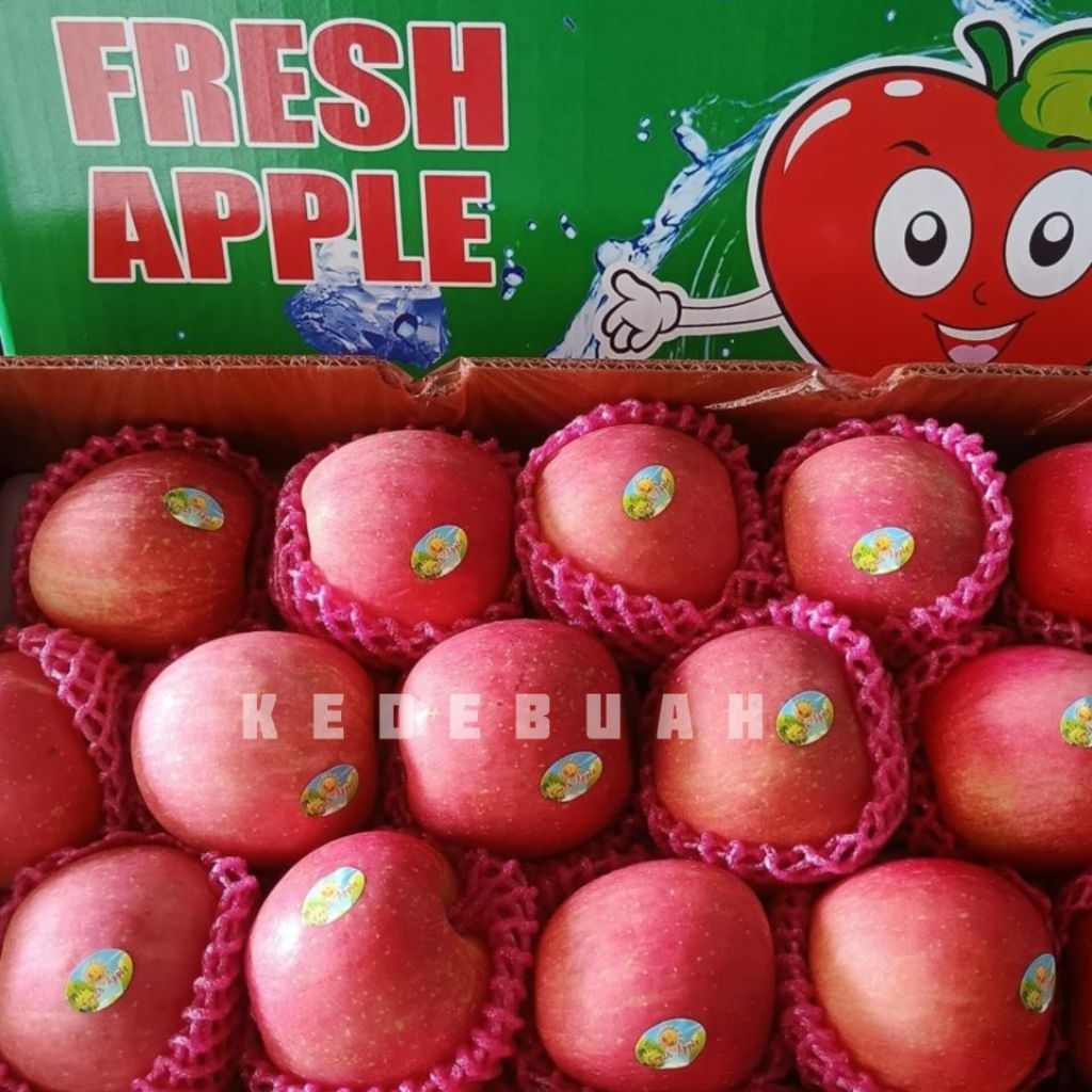 Jual Apel Fuji Chinese | Shopee Indonesia