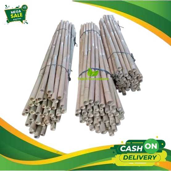 Jual TONGKAT/TOYA PRAMUKA 200cm BAHAN BAMBU POLOS | Shopee Indonesia