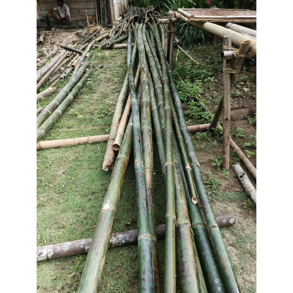 Jual bambu panjang 2 meter | Shopee Indonesia