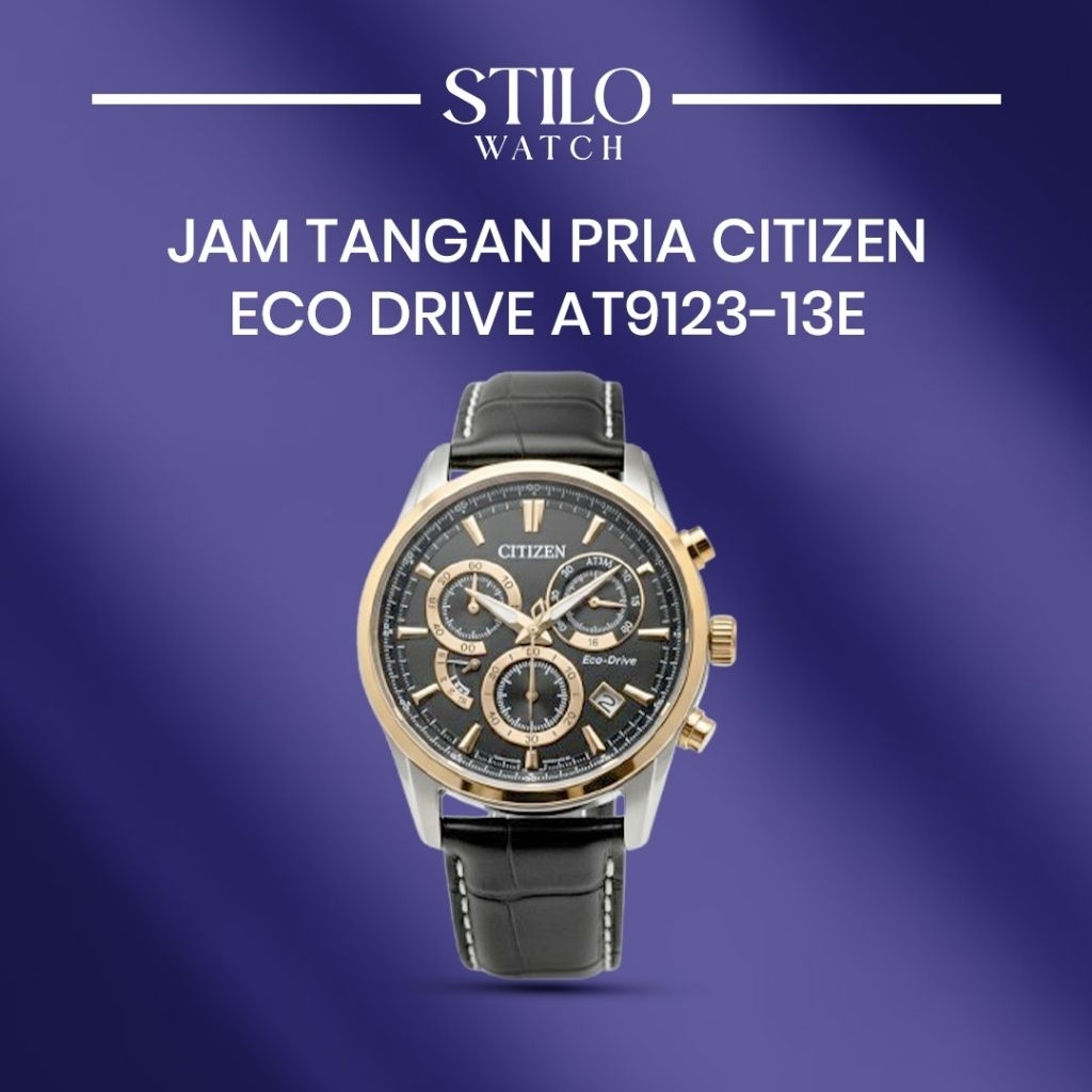 Jual Jam Tangan Pria Citizen Eco Drive AT9123-13E Men Multifunction ...