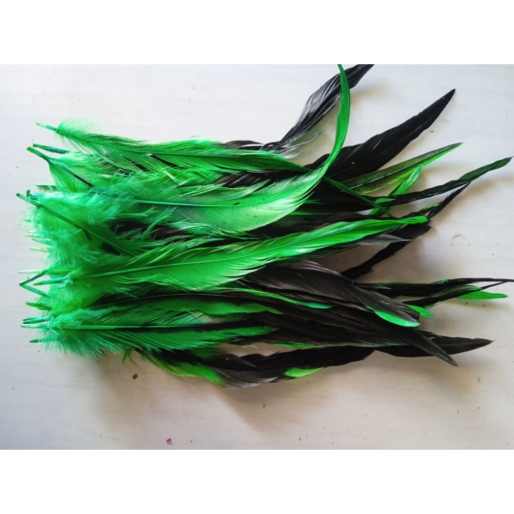 Jual bulu ayam lancur hitam natural PANJANG impor 50 biji lembut halus ...