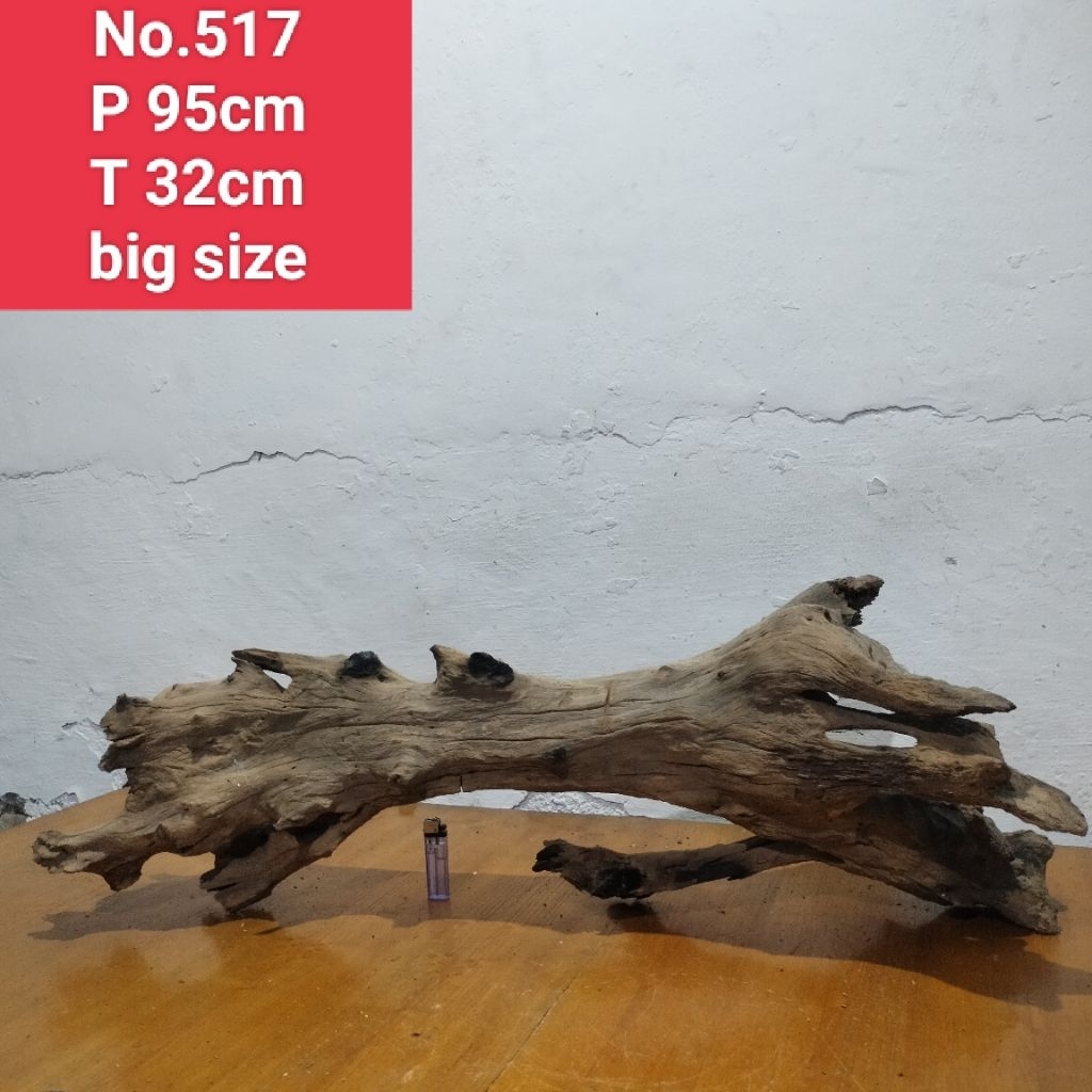 Jual bonggolan akar santigi laut akar dekorasi aquarium aquascape 517 ...