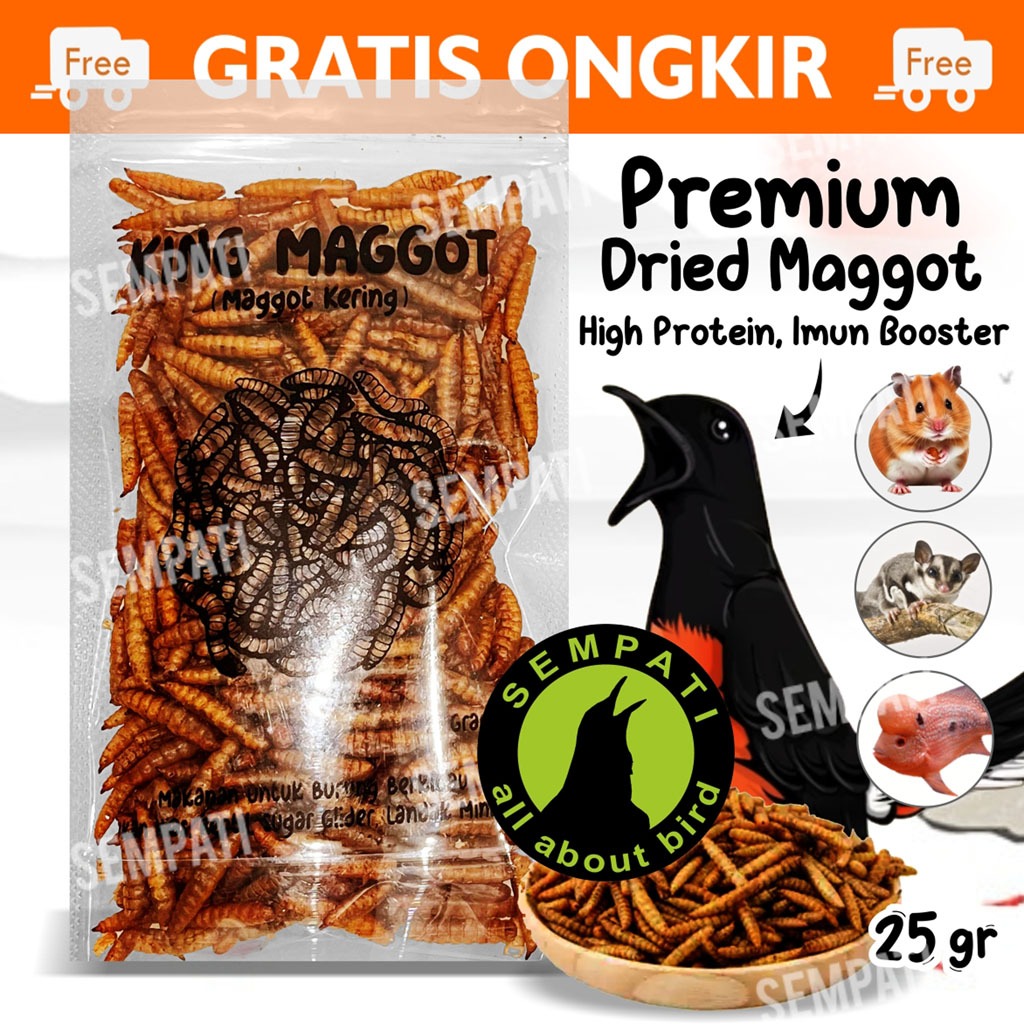 Jual SEMPATI King Maggot Bsf Super Magot 25 Gr Maggot Kering Dry Fresh ...