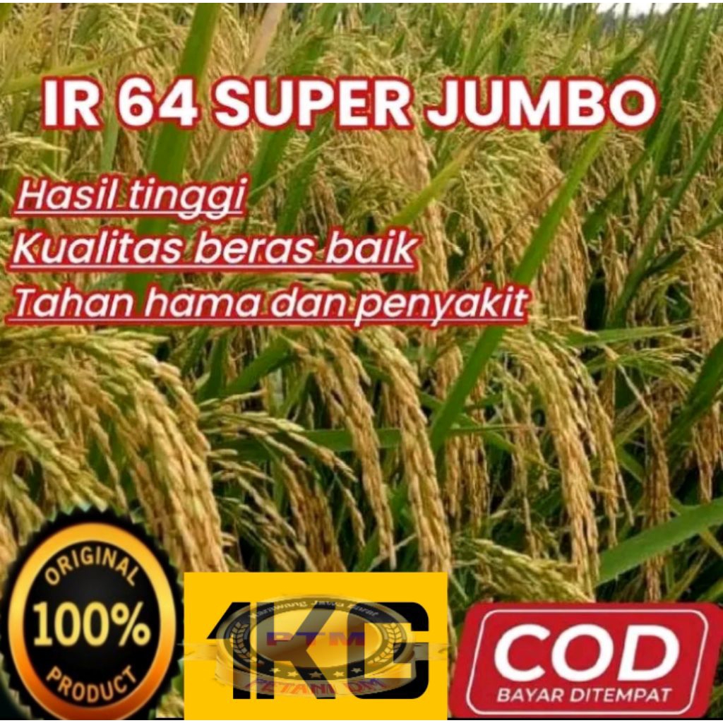 Jual BENIH PADI IR 64 SUPER JUMBO KEMASAN 1KG | Shopee Indonesia