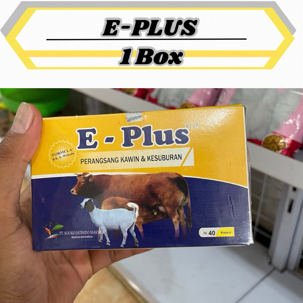 Jual E-PLUS 1 Box isi 6 Botol per Botol isi 40 kapsul - Obat Perangsang ...