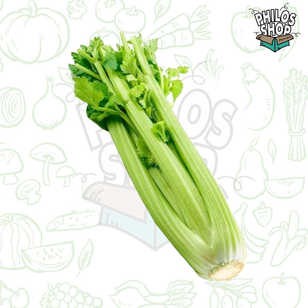 Jual CELERY STICK IMPORT-SELEDRI IMPOR SEGAR-CELERY FRESH 10KG | Shopee ...
