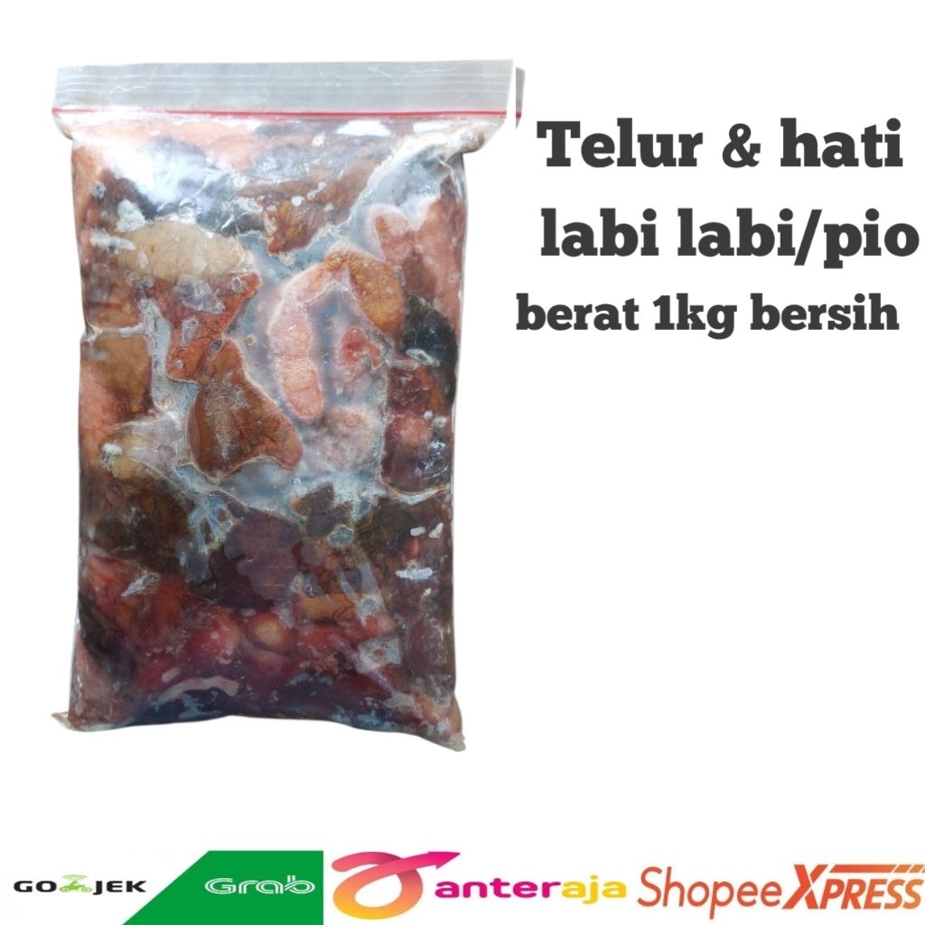 Jual Telur labi labi /pio/bulus | Shopee Indonesia