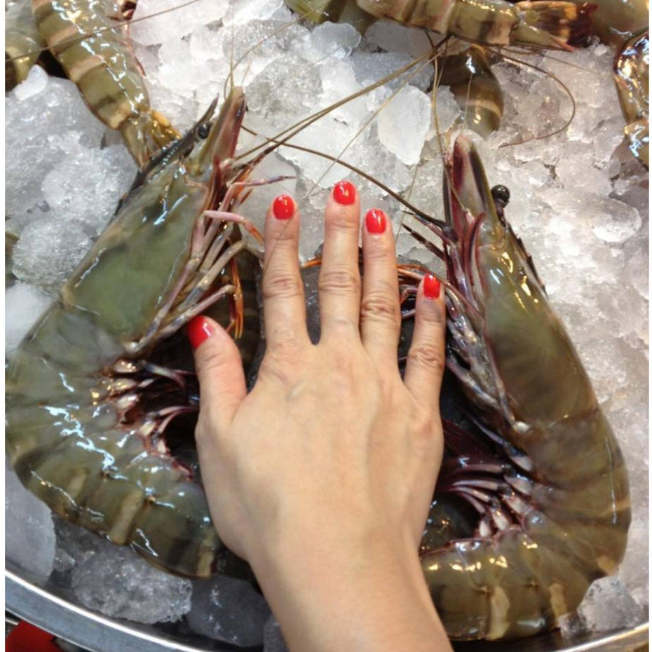 Jual Udang Tiger Udang Pancet Udang Windu Udang Segar Udang Fresh Udang ...