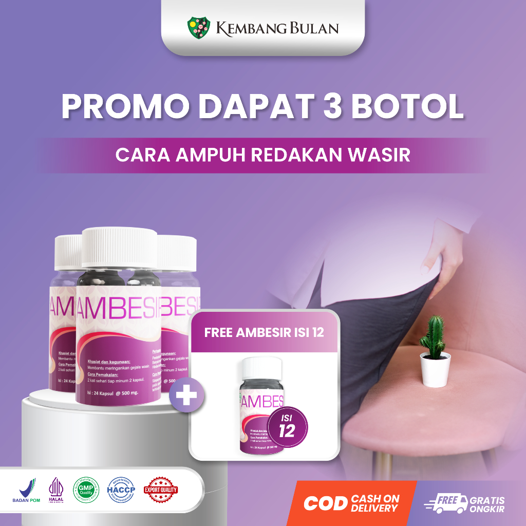 Jual PROMO BUNDLING Ambesir 3 Botol Isi 24 Kapsul FREE 1 BOTOL ISI 12 ...