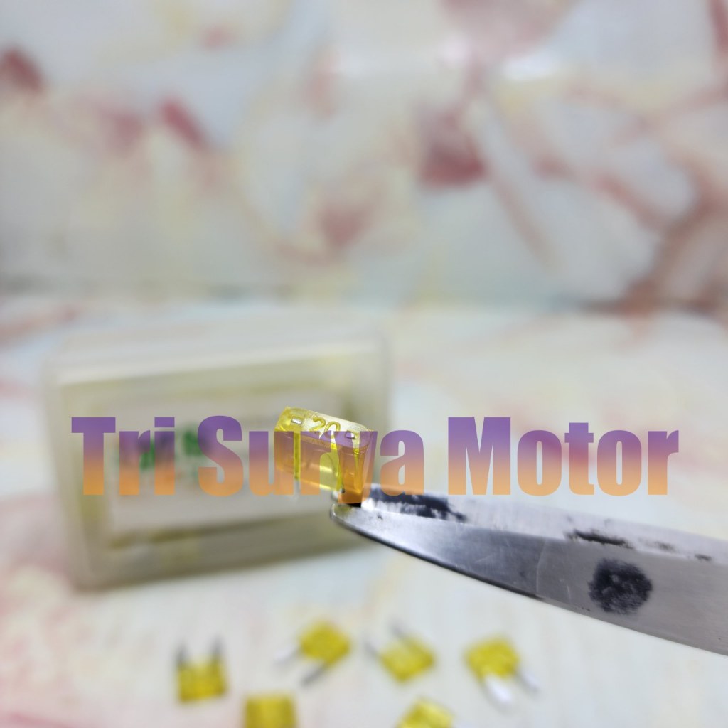 Jual Fuses DX Fuse Skring Sekring Mini Tusuk 20A Harga 10pcs | Shopee ...