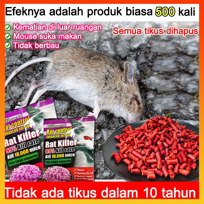 Jual Racun Tikus Basmi Tikus Ampuh Mati Hingga Sarang Kemasan 20gr 50gr ...