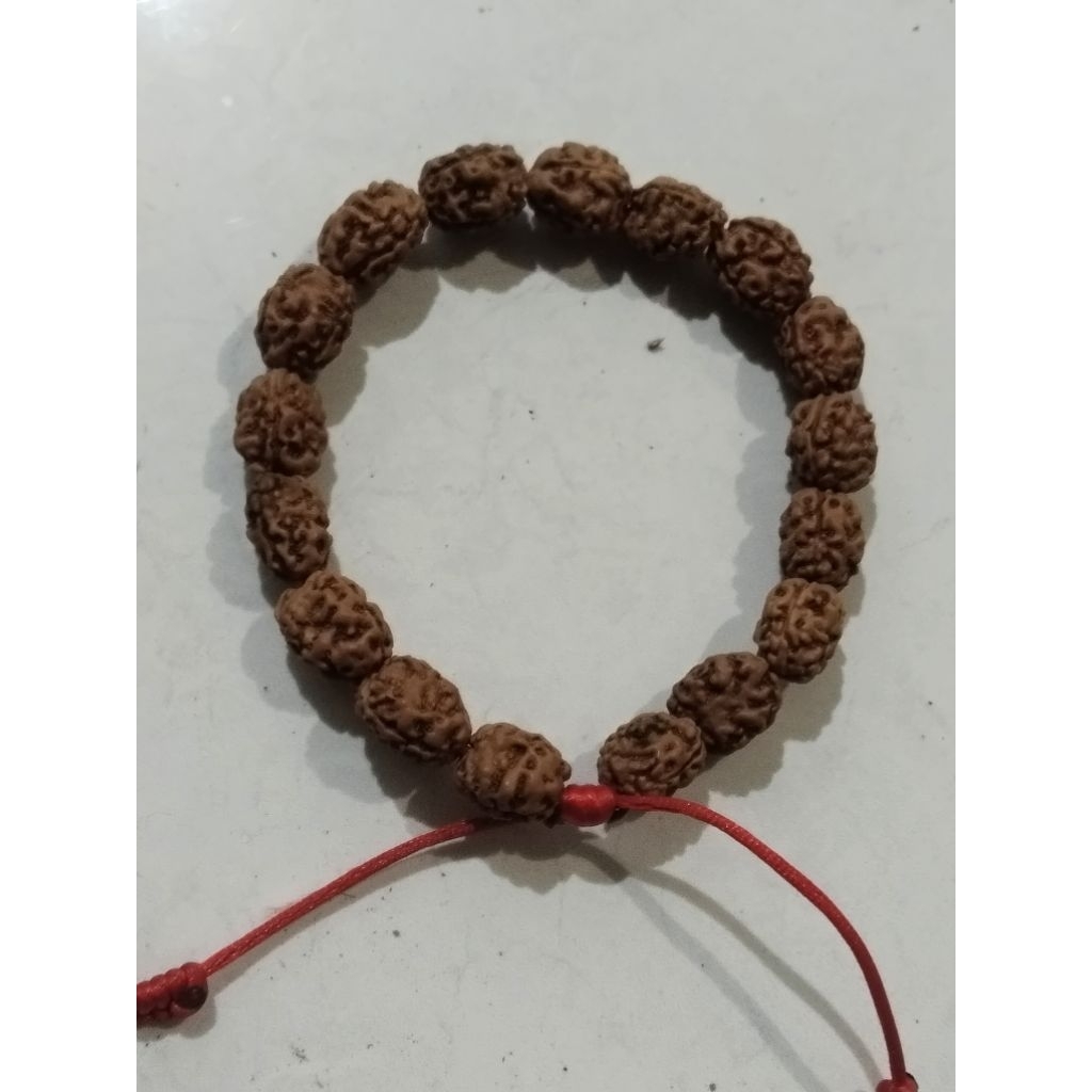 Jual Gelang Rudrakhsa Jenitri mukhi 3 ful orijinal natural | Shopee ...