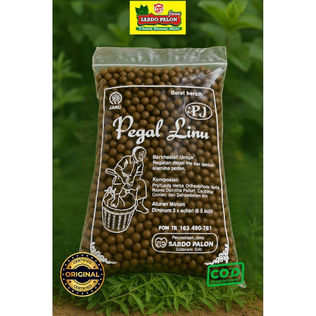 Jual Jamu Pil SABDO PALON Original 1 Kg – Obat Herbal Pegal Linu, Nyeri ...