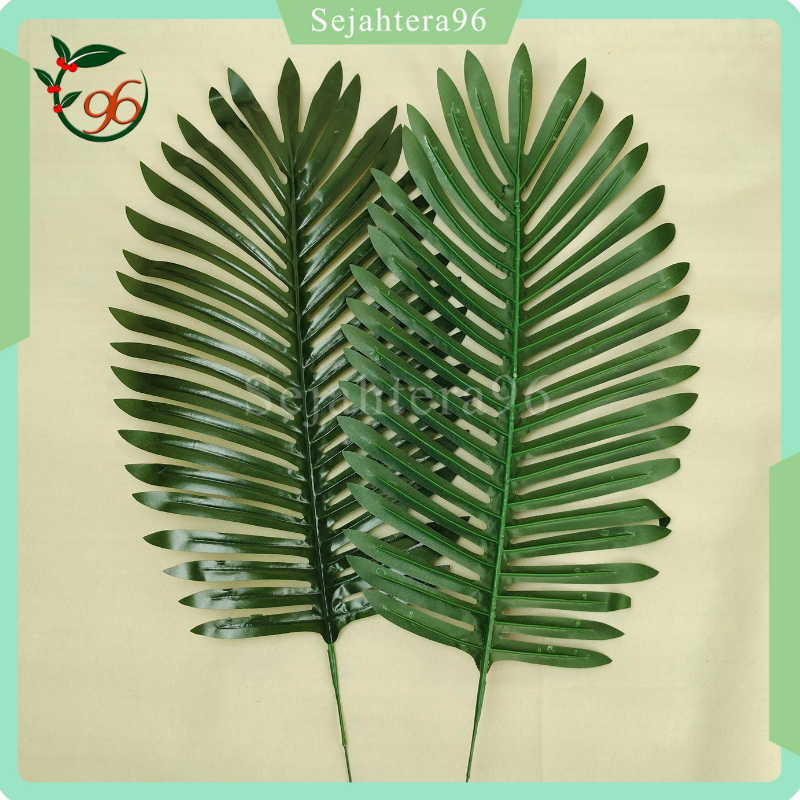 Jual DAUN PALM CEBOL - DAUN MAWAR DURI - BUNGA DEKORASI COD | Shopee ...
