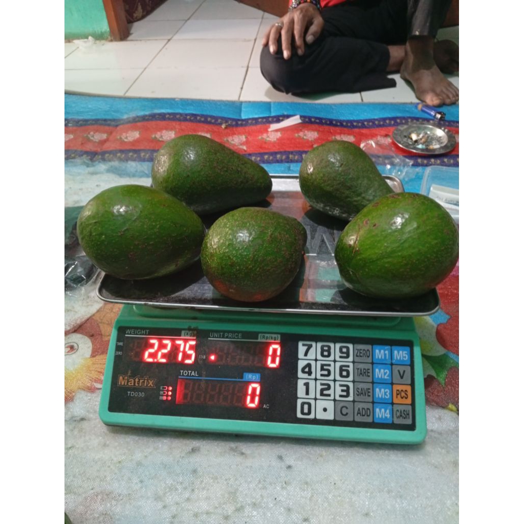 Jual alpukat JUMBO /kg isi 3 biji | Shopee Indonesia
