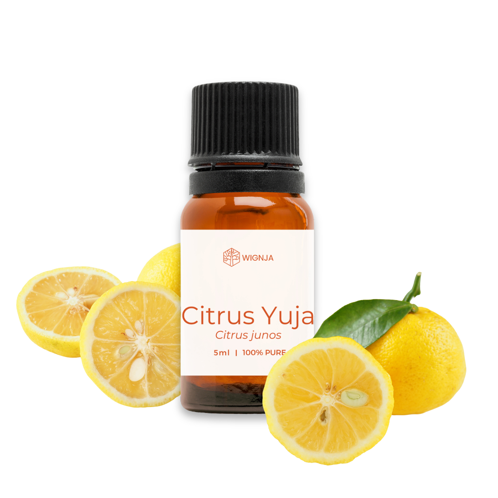 Jual Citrus Yuja Essential Oil / Minyak Jeruk Yuja Murni (5ml / 10ml ...