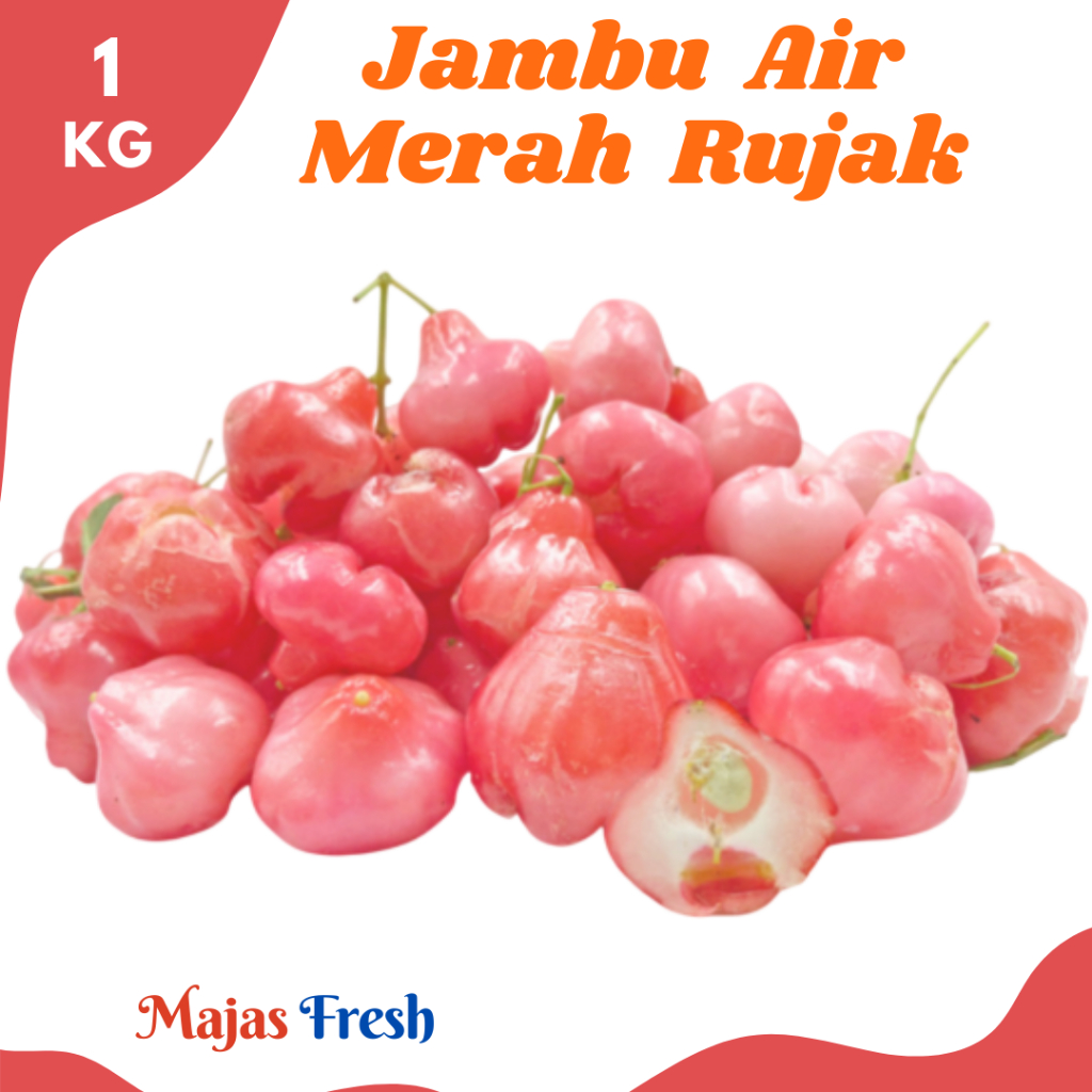 Jual JAMBU AIR Merah Segar - Buah Jambu Air Merah Rujak Fresh | 1.000gr ...