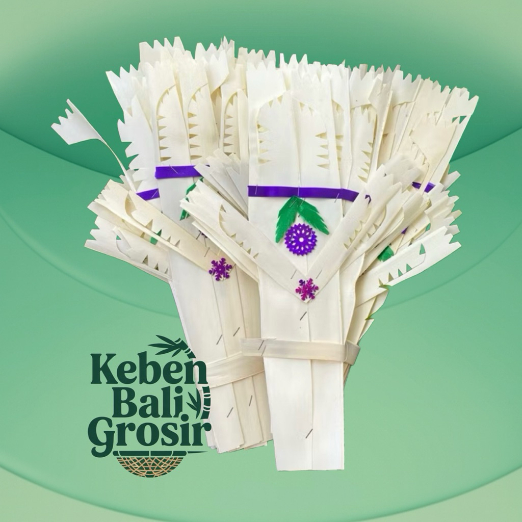 Jual Ceniga Galungan (10pcs) | Shopee Indonesia
