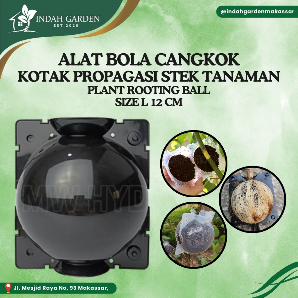 Jual Plant Rooting Ball / Air Layering Propagation Box, Size L 12 cm ...