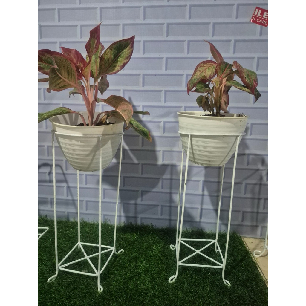 Jual STANDING POT TINGGI 40cm, DIAMETER 18cm | Shopee Indonesia
